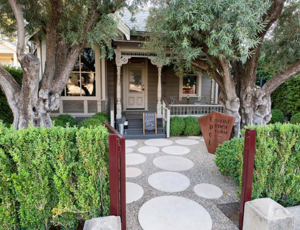 Bossa Nova • Sonoma Plaza Visitor's Guide